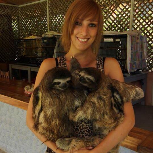 Happy Sloth Day via Tico Times – NBC 101 celebrating 10 years of ...